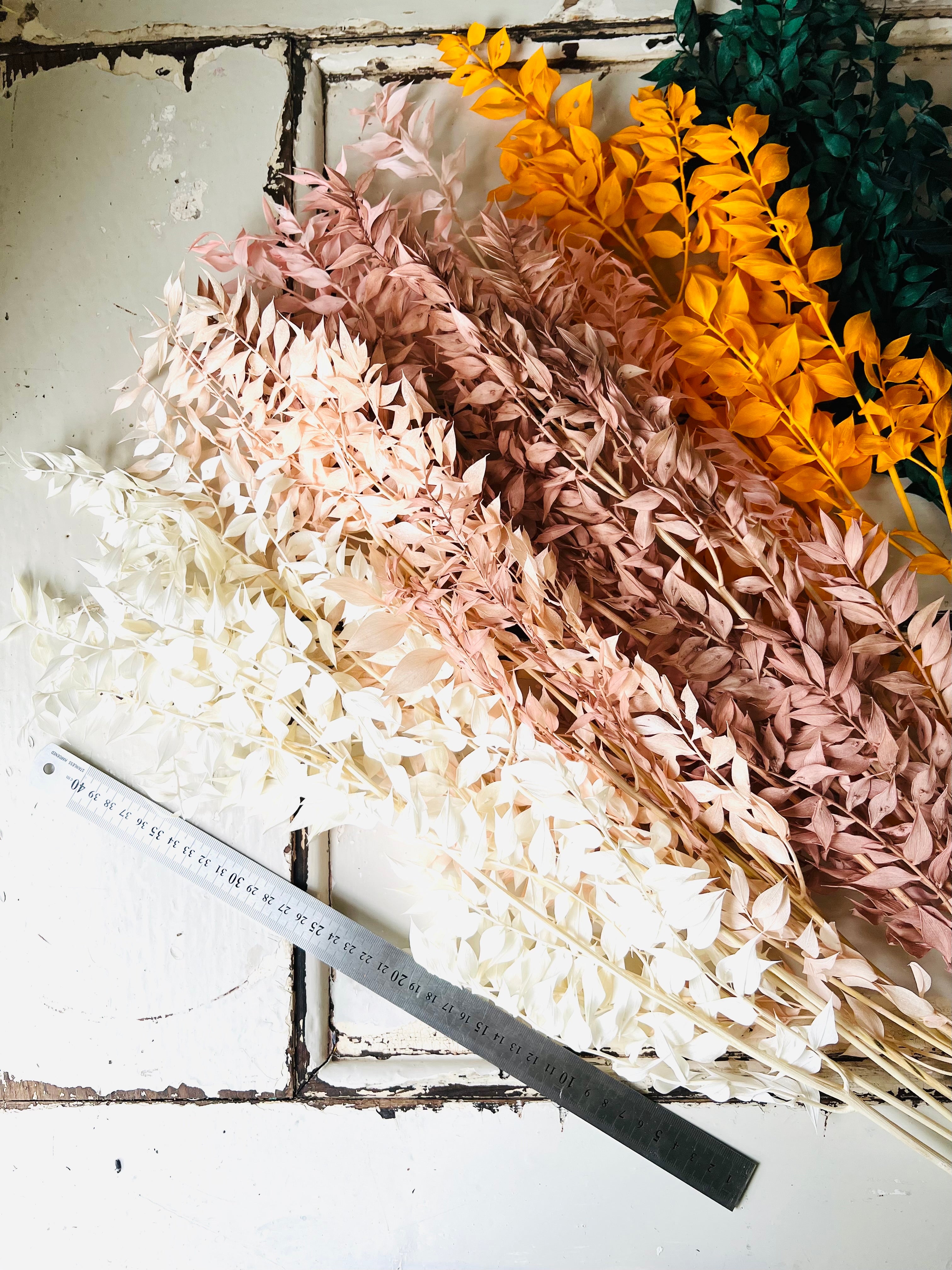 Preserved Italian Ruscus – FLEURI flowers