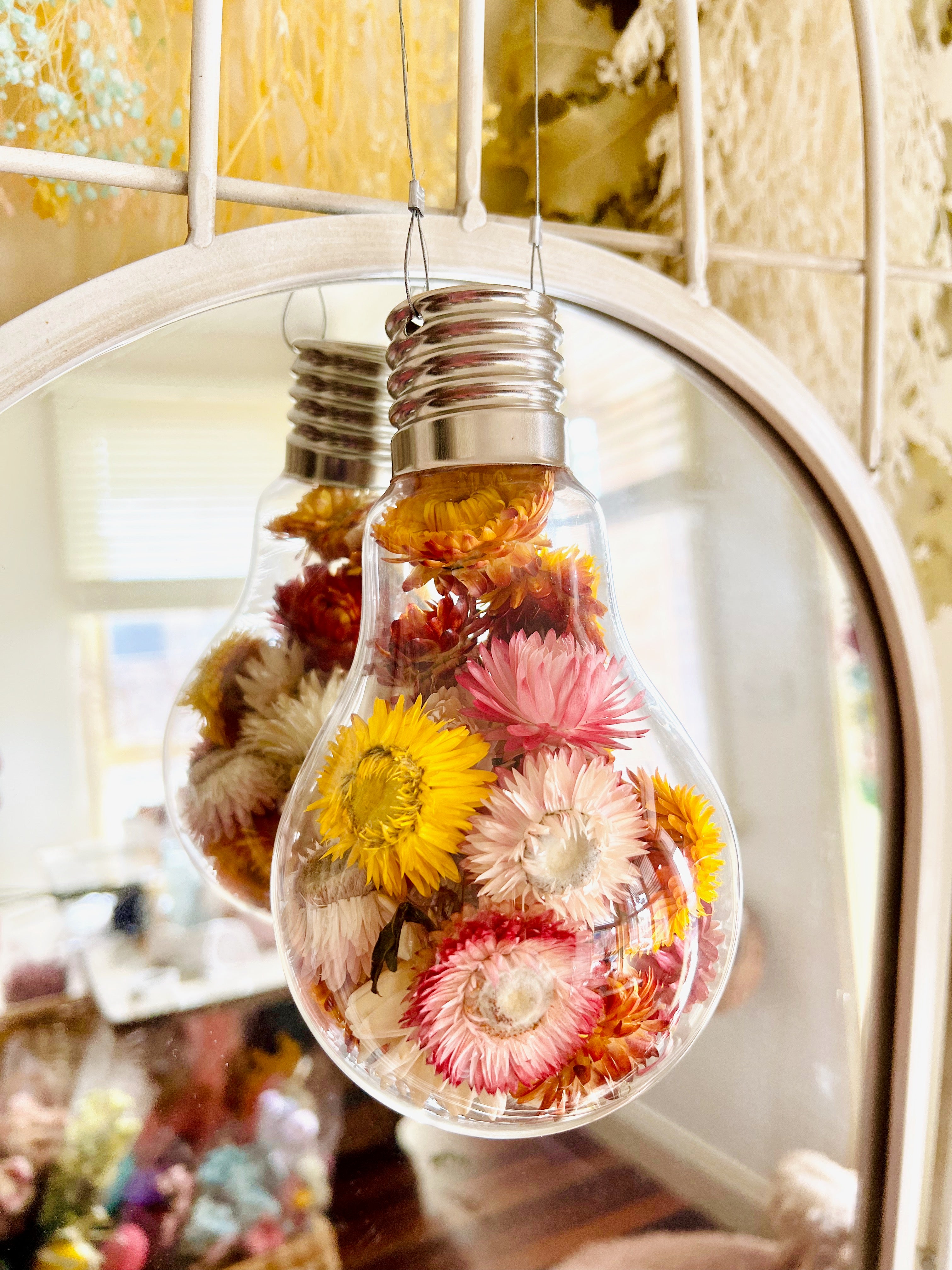 Fun of Daisies in a bulb | preserved dried flowers arrangement – FLEURI ...