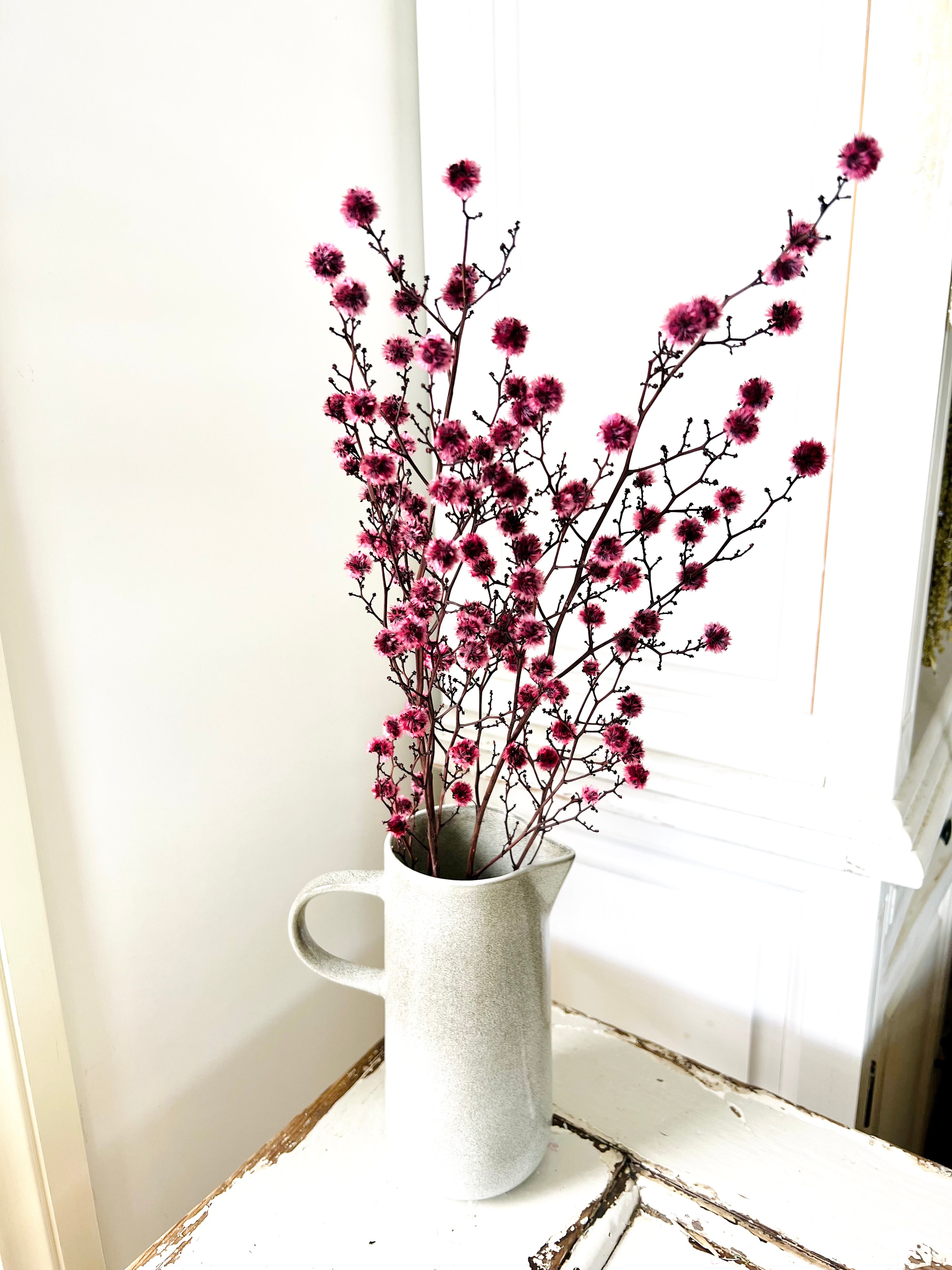 Dried Stirlingia with pods – FLEURI flowers